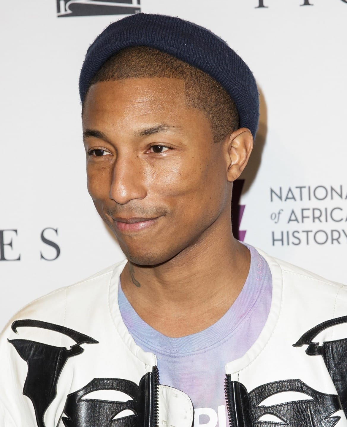 Pharrell’s Hollywood Hills Estate Hits the Market for $12 Million ...